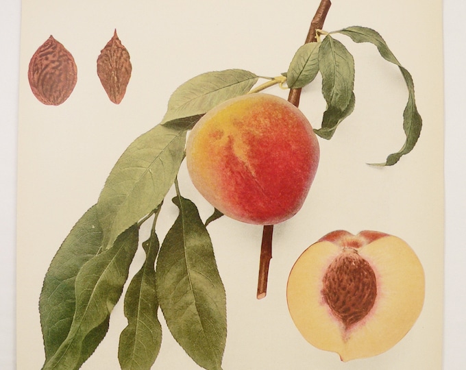 This item is unavailable - Etsy