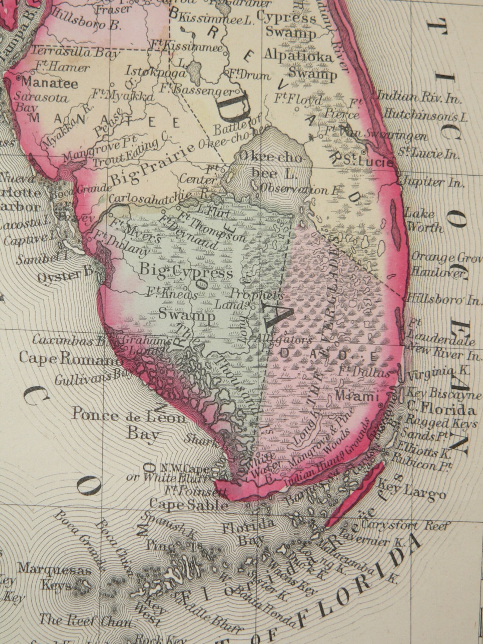 1860 Mitchell Map of Florida and South Carolina, Original Antique Map ...