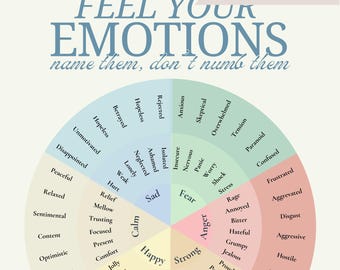 Printable Emotional Body Check In, Emotional Regulation Poster, Teens ...