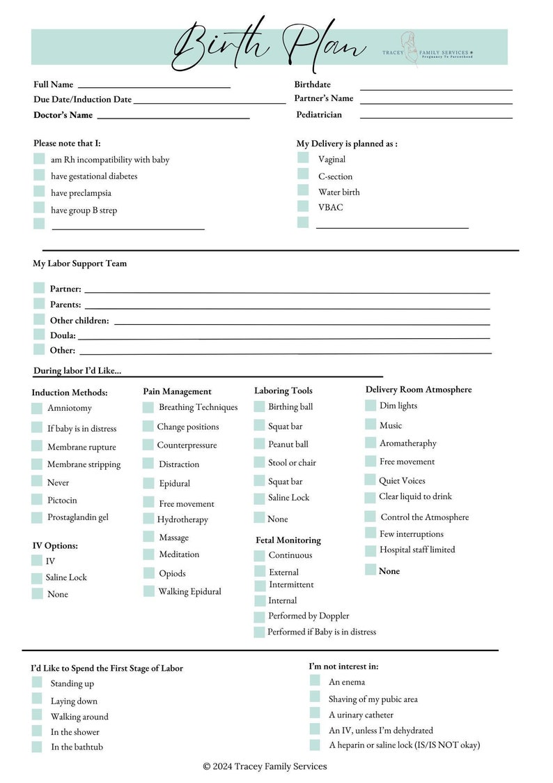 Blue Birth Plan Printable & Editable PDF Template - Etsy