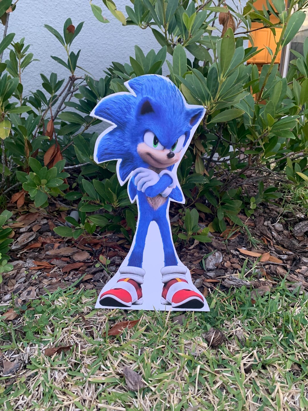 Sonic, Shadow, Knuckles Prop, Sonic Party, Sonic Cutout, Sonic Party ...