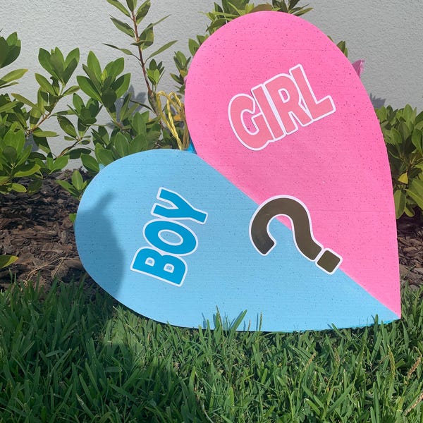 Gender Reveal Pinata - Etsy