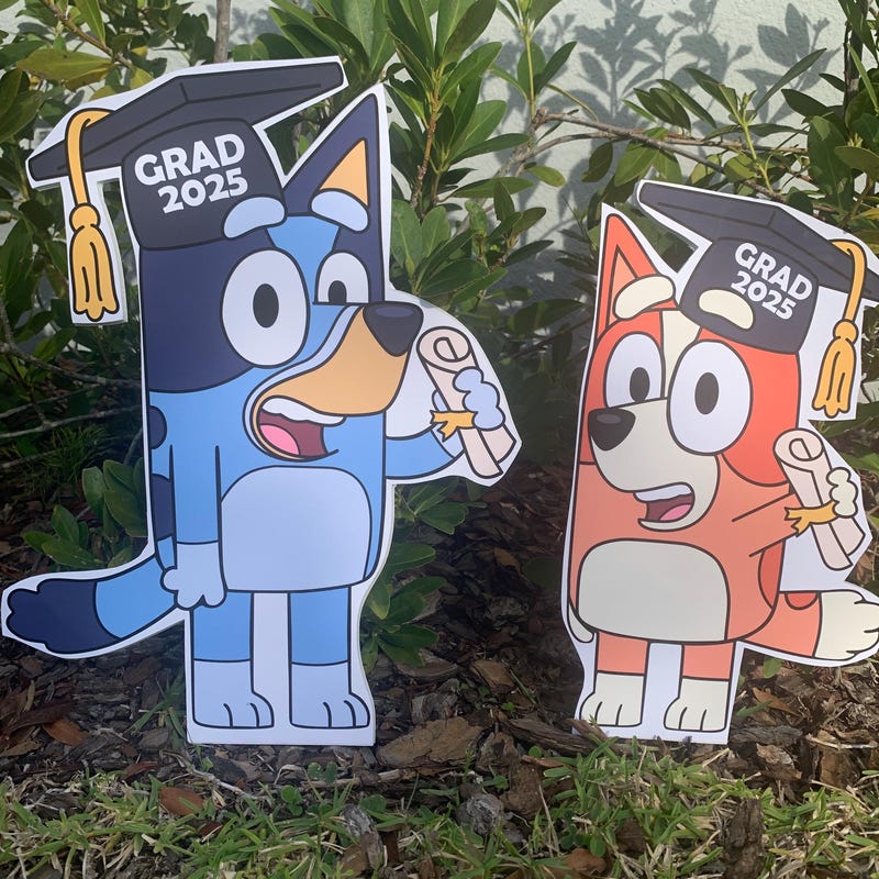 Bluey Graduation Cap - Etsy