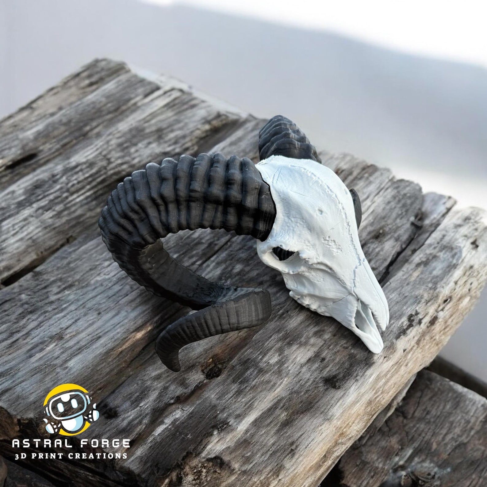 3D Printed Ram Skull: Life Size - Etsy