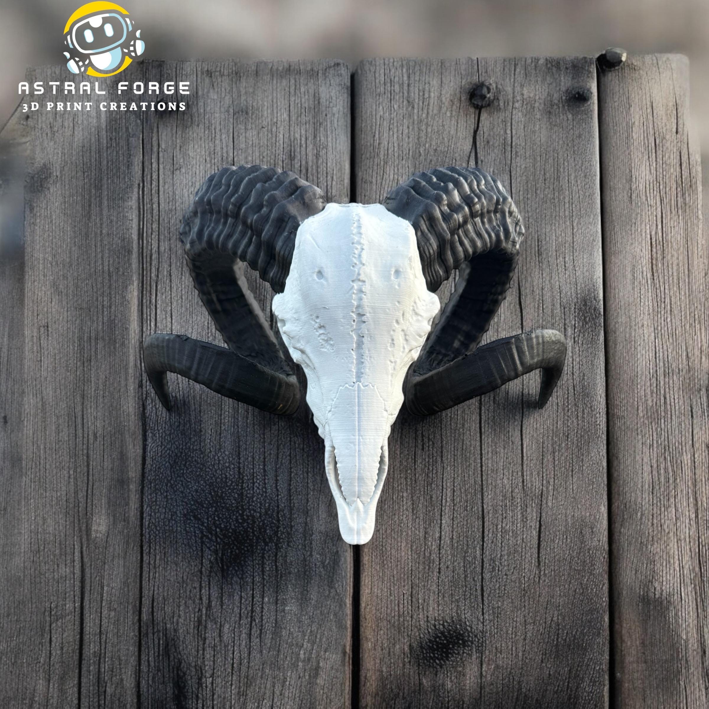 3D Printed Ram Skull: Life Size - Etsy