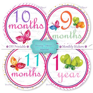 Printable Monthly Baby Stickers -baby Girl Grow up Signs 4" -cute ...