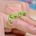 Mini Green Tree Frog Ring - Etsy