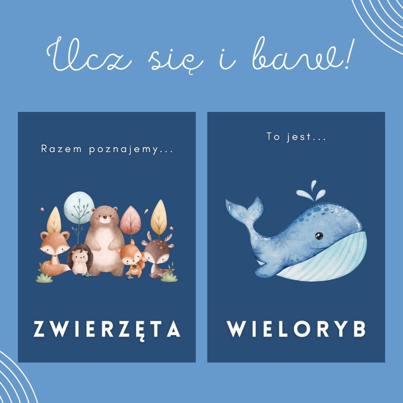 Printable Animal Cards for Kids. 30 A6 Cards. Double-sided Cards ...