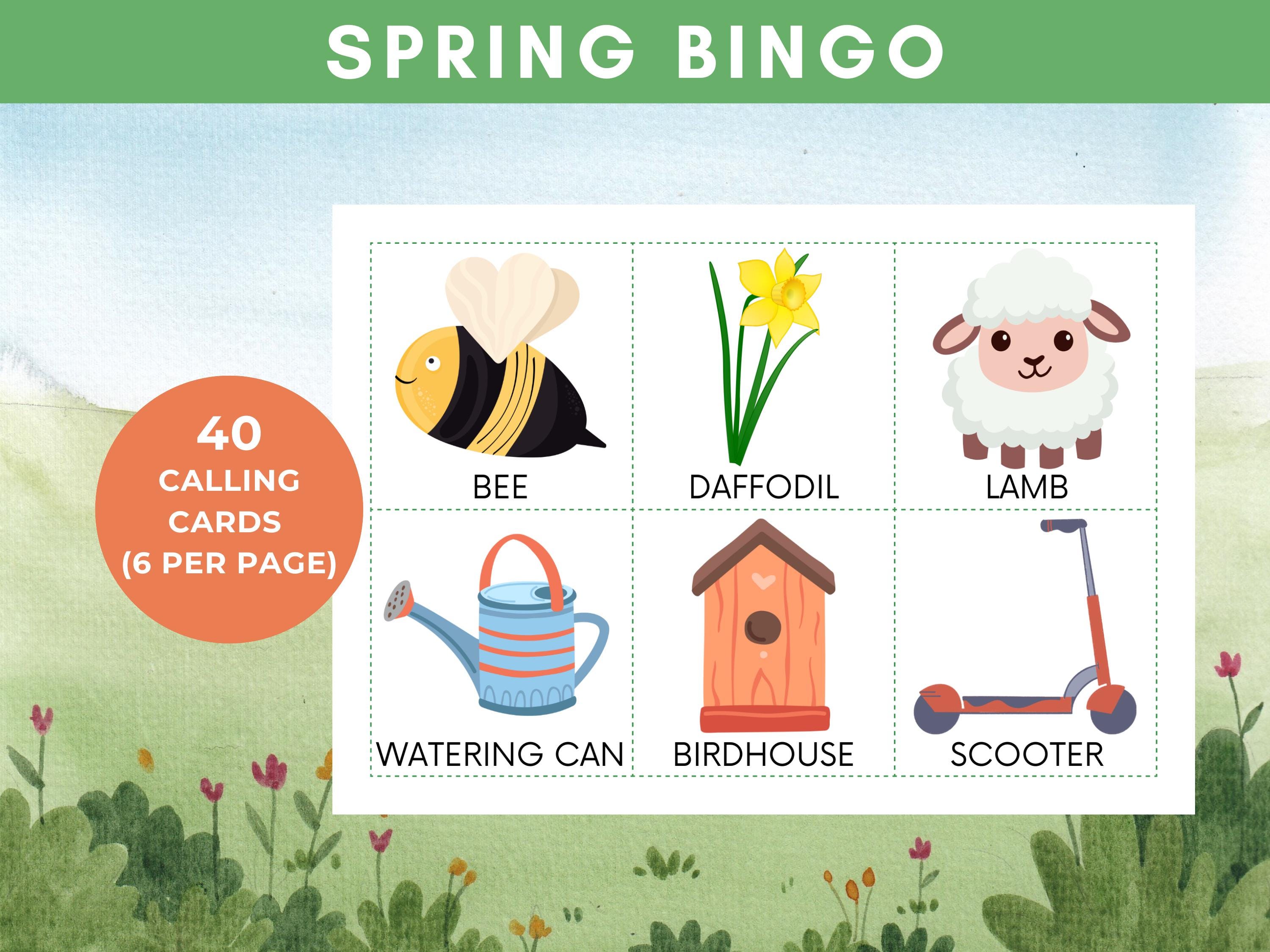 30 Spring Bingo Cards, Printable Spring Bingo, Spring Activity, Kids ...
