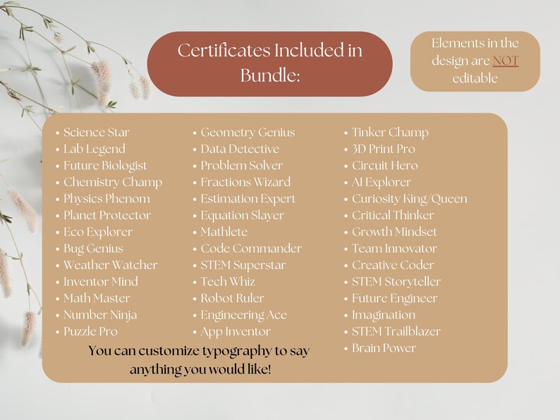 Editable STEM Awards: Printable Certificates for Kids (PDF Template ...