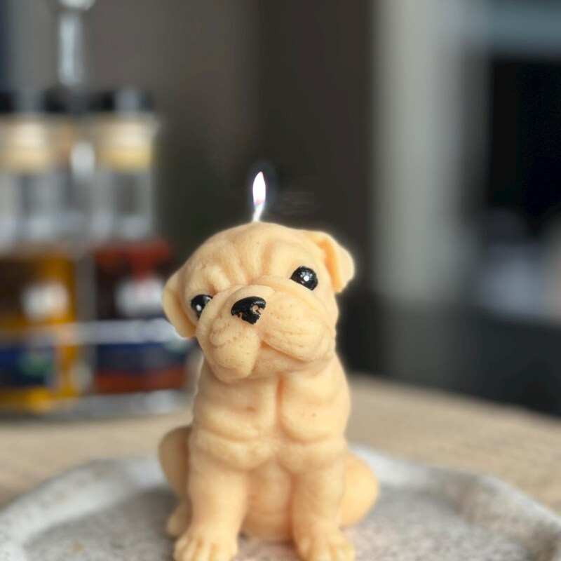 Dog Candle - Etsy