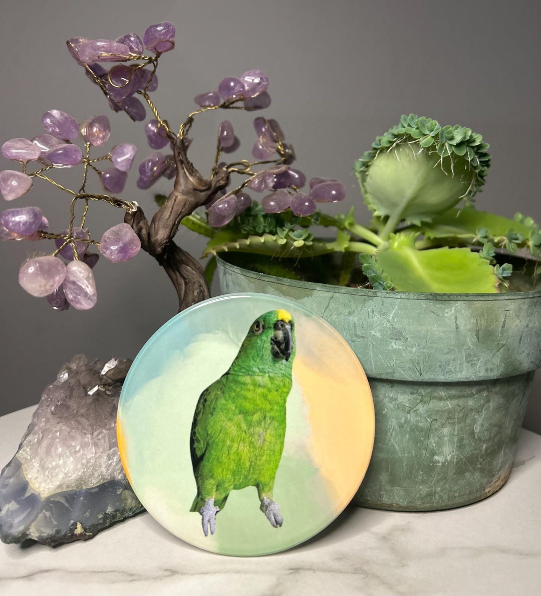 Pet Theme Ceramic Round Coasters – Design Variations for Home Décor - Etsy