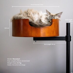 The Deskpurrch - A Perch-bed for Your Cat and Desk - Etsy