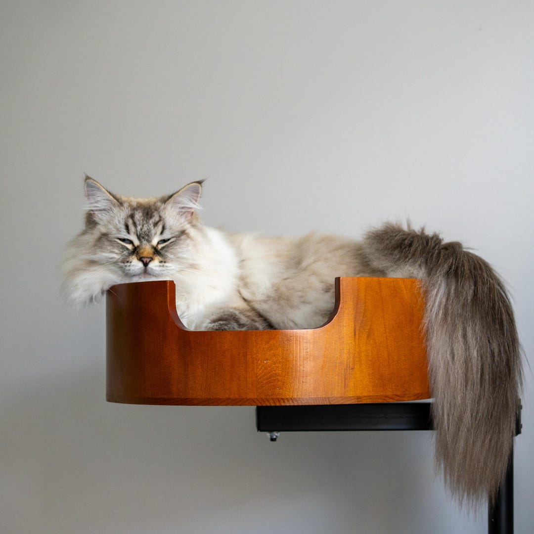 The Deskpurrch - A Perch-bed for Your Cat and Desk - Etsy