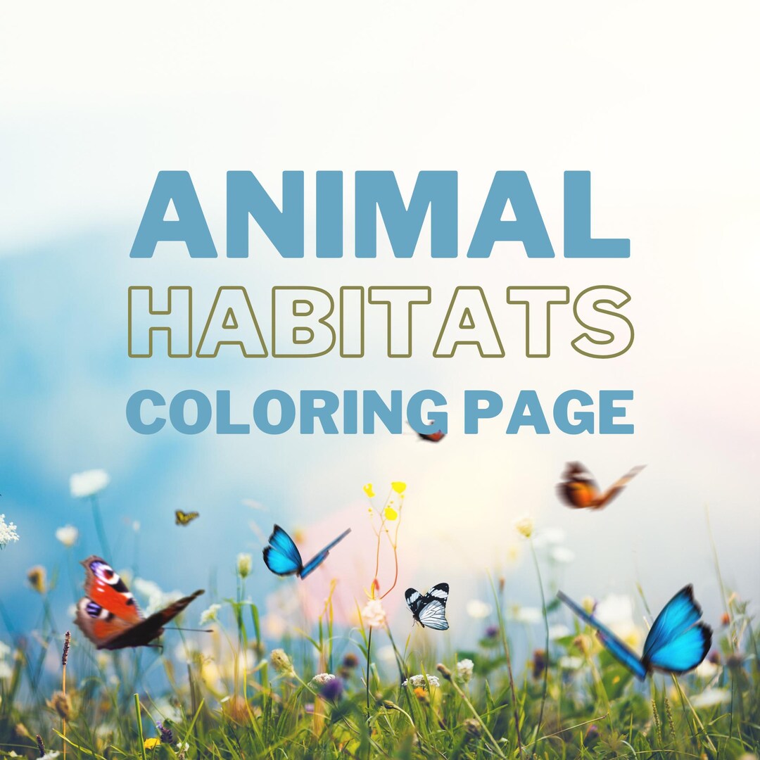 Coloring Book, Interactive Coloring Book for Curious Kids, Coloring ...