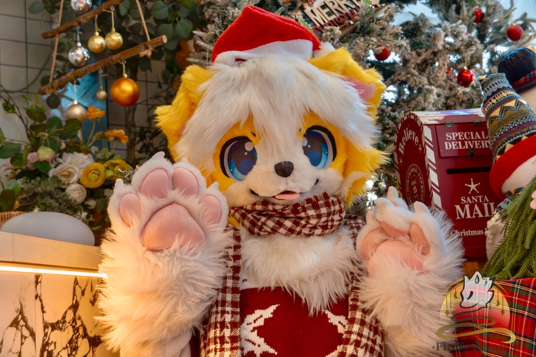 Fursuit Head,fursuit Private Commission(head,half Body,whole Body) - Etsy