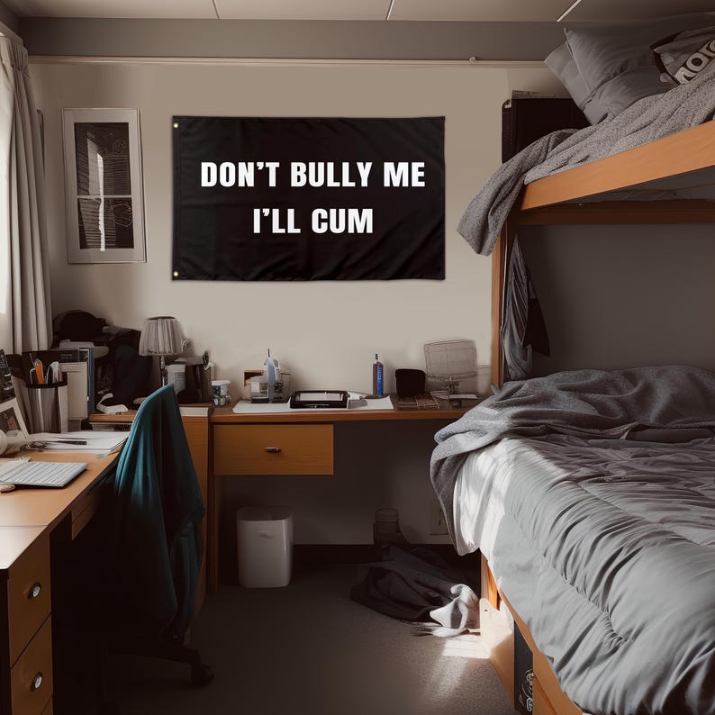 Funny Flag Don't Bully Me Cool Meme Flag Banner 3X5 Ft College Dorm ...