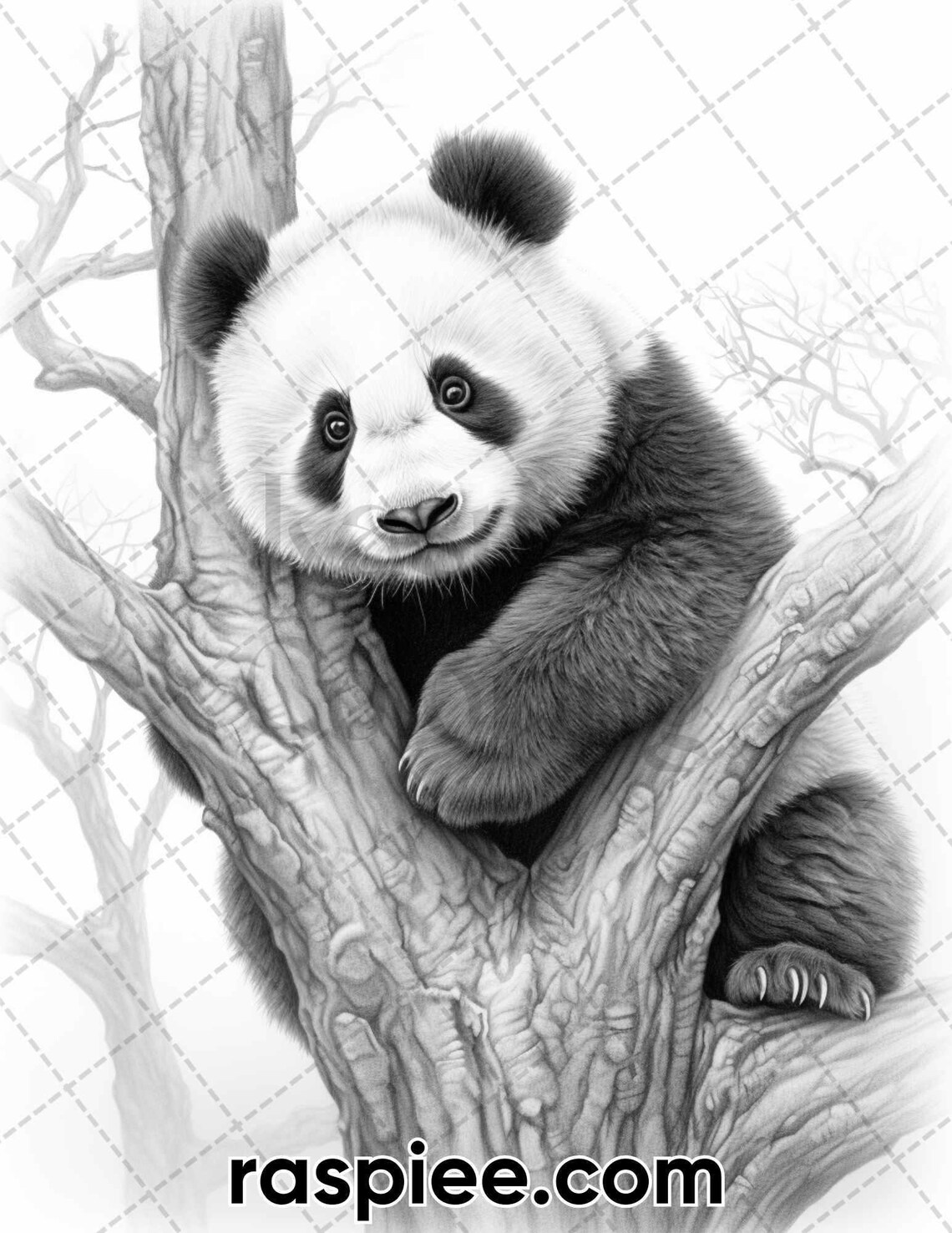 55 Wild Animals Grayscale Coloring Pages - Etsy