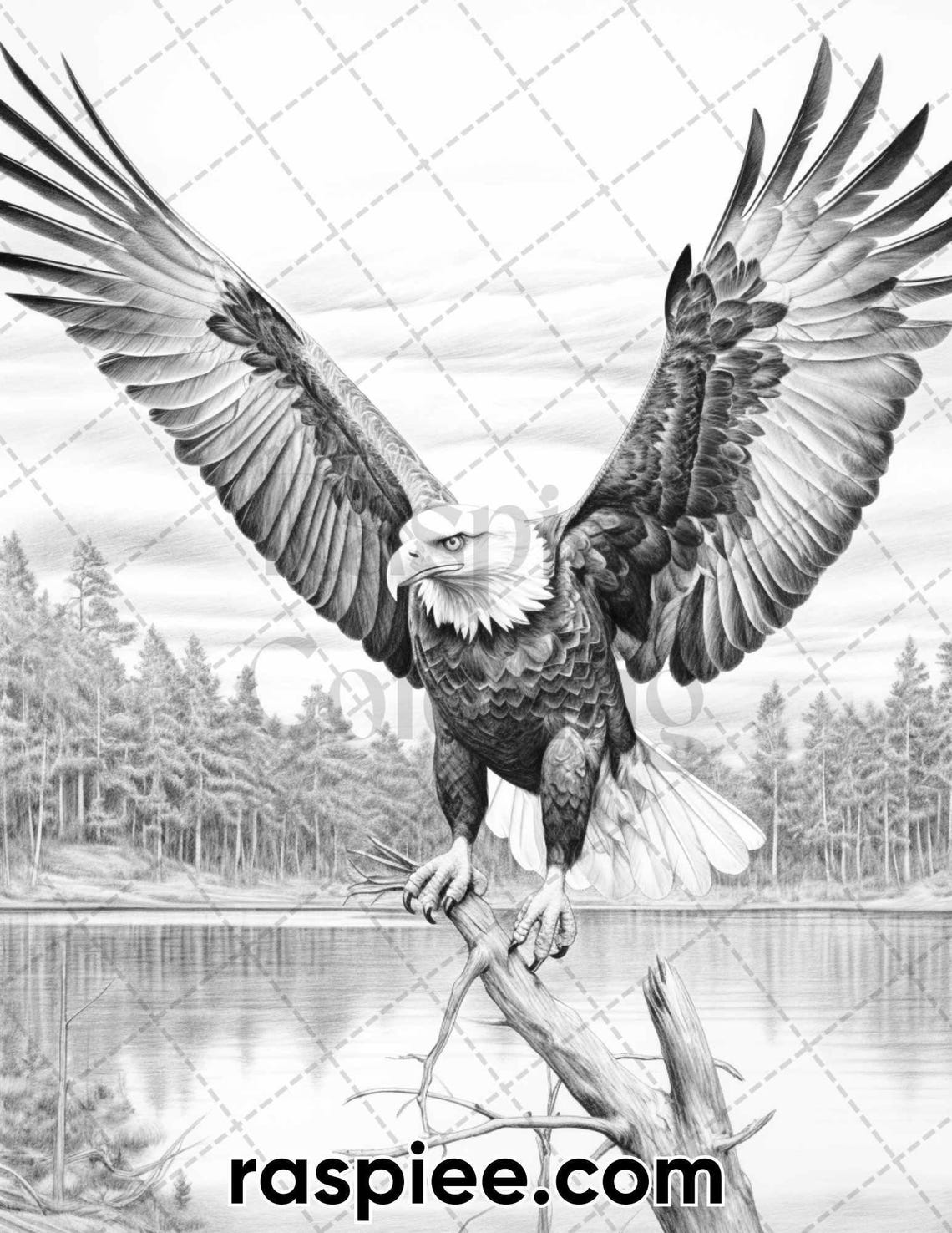 55 Wild Animals Grayscale Coloring Pages - Etsy