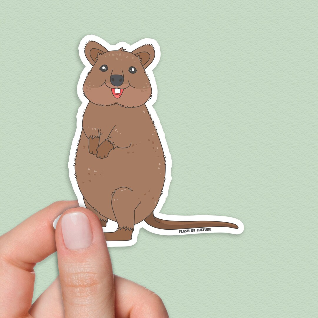 Quokka Sticker, Australian Native Animal Decal, Cute Aussie Wildlife ...