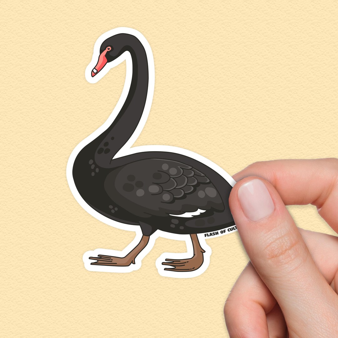 Black Swan Sticker, Native Australian Bird Decal, Western Australia ...