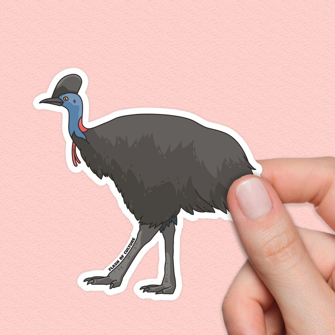 Cassowary Sticker, Australian Birds, Native Australian Animals, Gifts ...