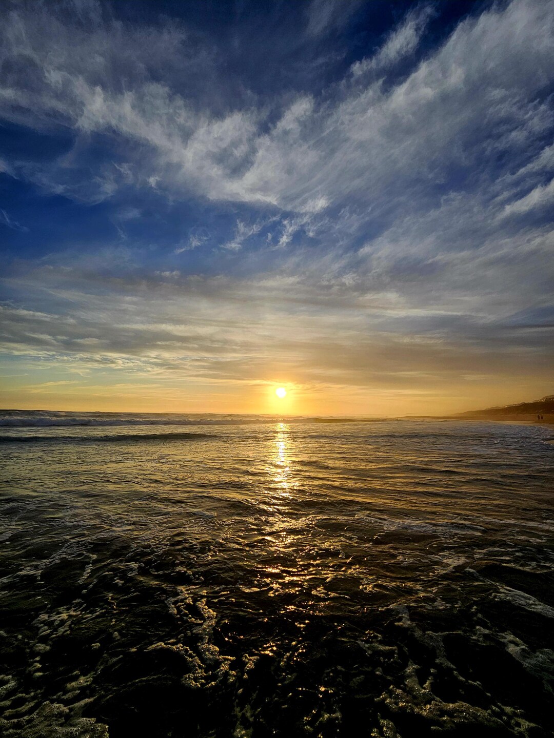 The Ikigai Journal: A 12-week Guided Reflection With Nature Photography ...
