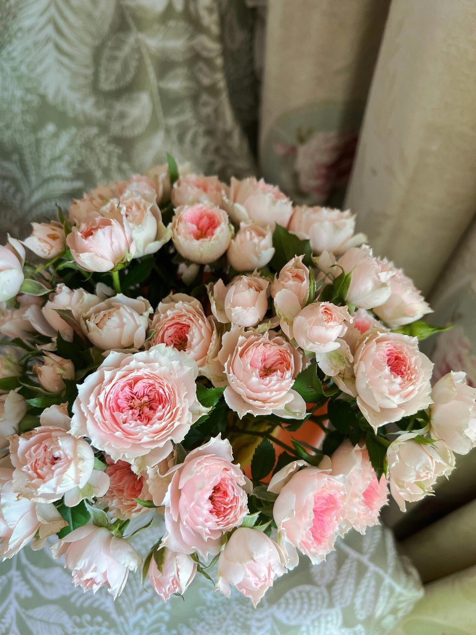 Rose ‘ Pompon Veranda ’ - Korfloci05 | Pashmina | Pompon Flower Circus ...