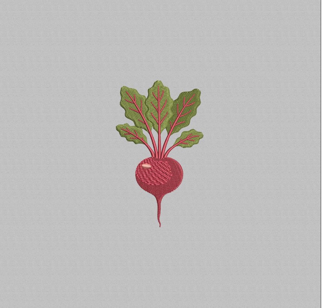 Beet Embroidery Design, Vegetable Machine Embroidery Pattern (digital ...