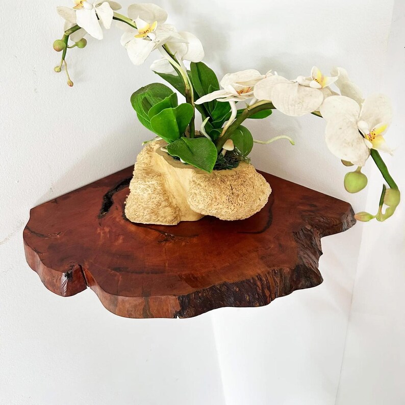 Live Edge Floating Corner Shelf Solid Wood Book Shelves Wall Mount ...