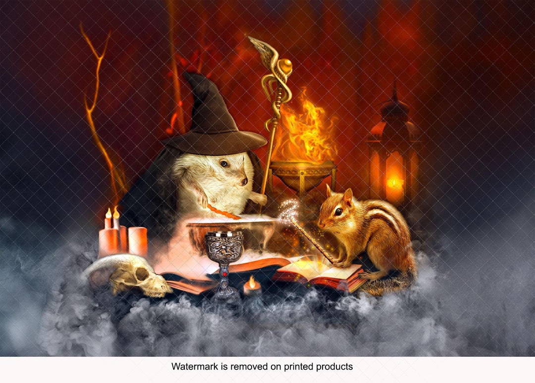 Magical Hedgehog Warlock Fine Art Print, Enchanting Wizard Scene ...