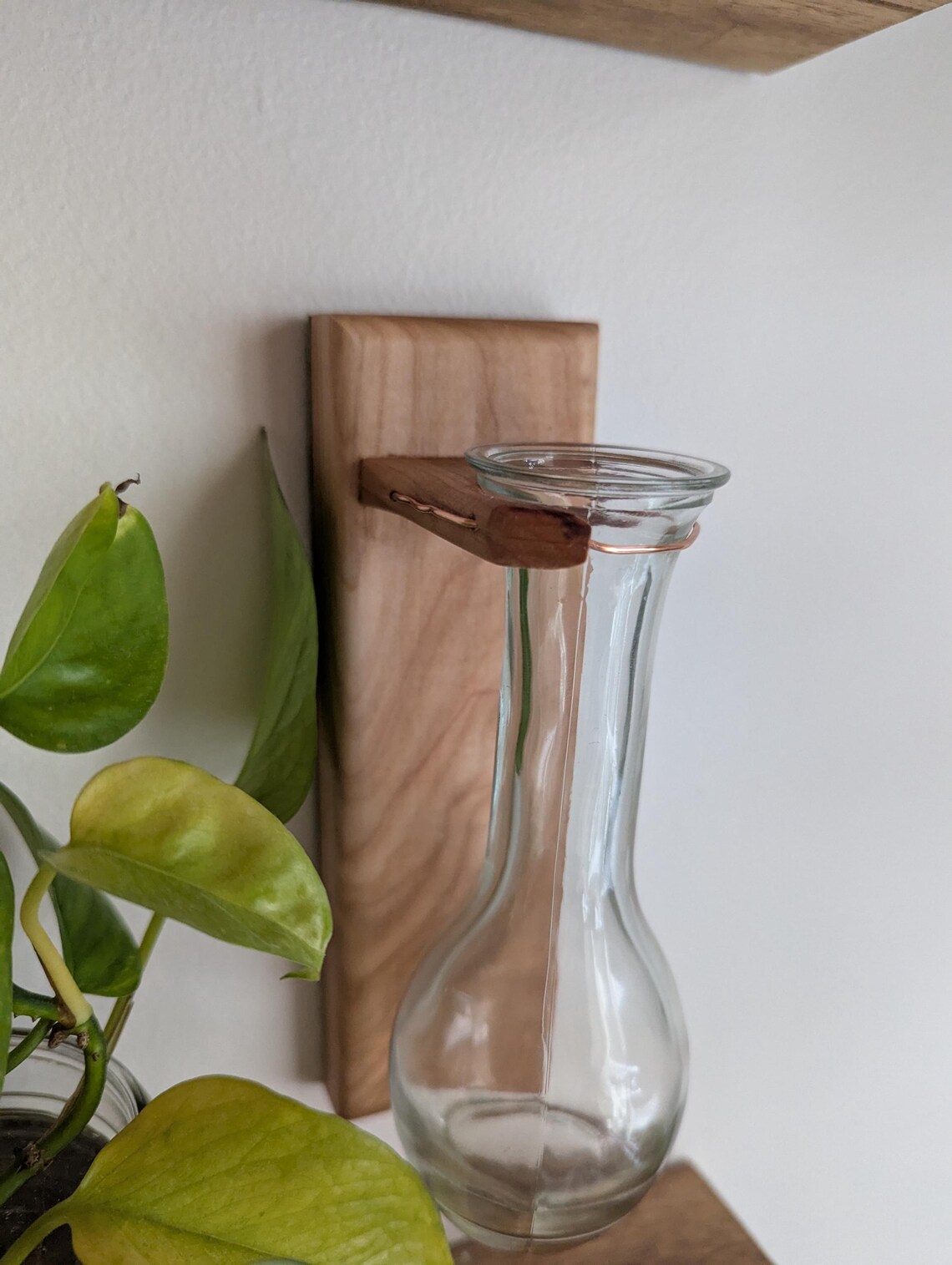 Large Wall Mounted Propagation, Hanging Propagation Vase, Wall Bud Vase ...