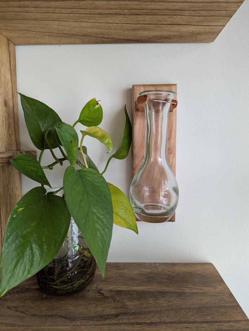 Large Wall Mounted Propagation, Hanging Propagation Vase, Wall Bud Vase ...