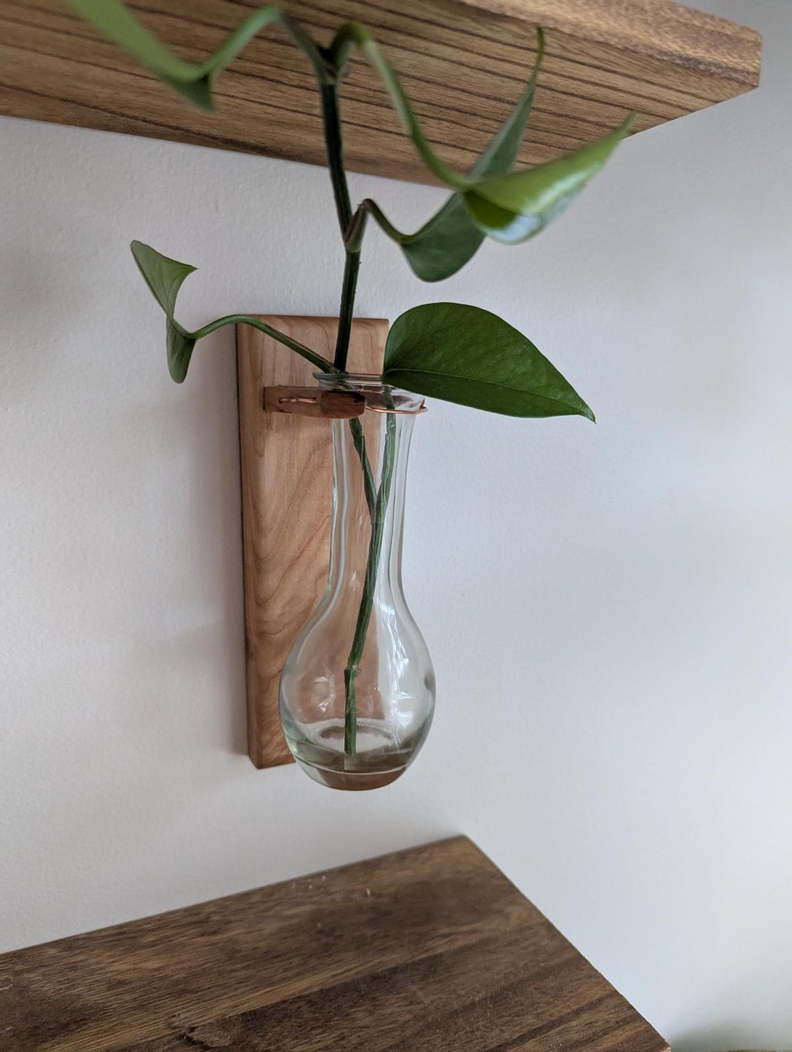 Large Wall Mounted Propagation, Hanging Propagation Vase, Wall Bud Vase ...