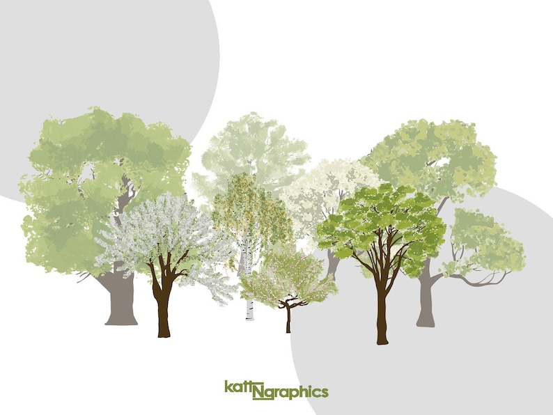 Trees Four Seasons - Flat Vector Graphic Illustration - 32 Clipart ...