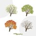 Trees Four Seasons - Flat Vector Graphic Illustration - 32 Clipart ...
