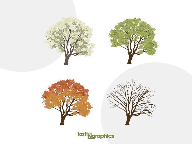 Trees Four Seasons - Flat Vector Graphic Illustration - 32 Clipart ...