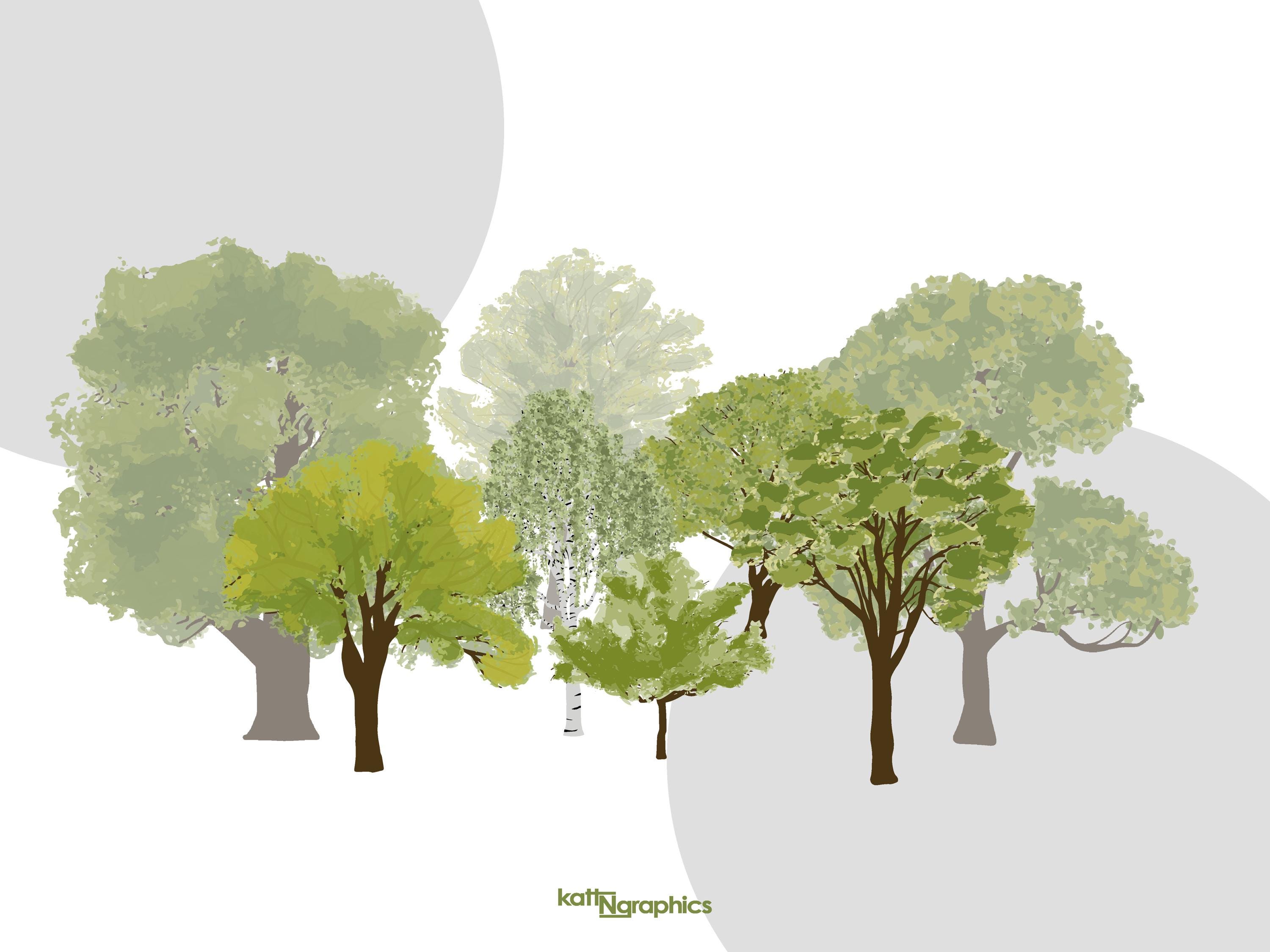 Trees Four Seasons Flat Vector Graphic Illustration 32 Clipart Trees ...