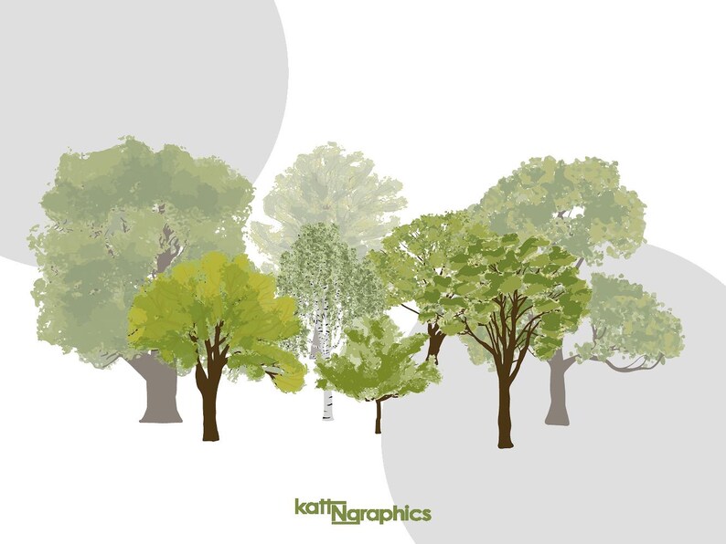 Trees Four Seasons - Flat Vector Graphic Illustration - 32 Clipart ...