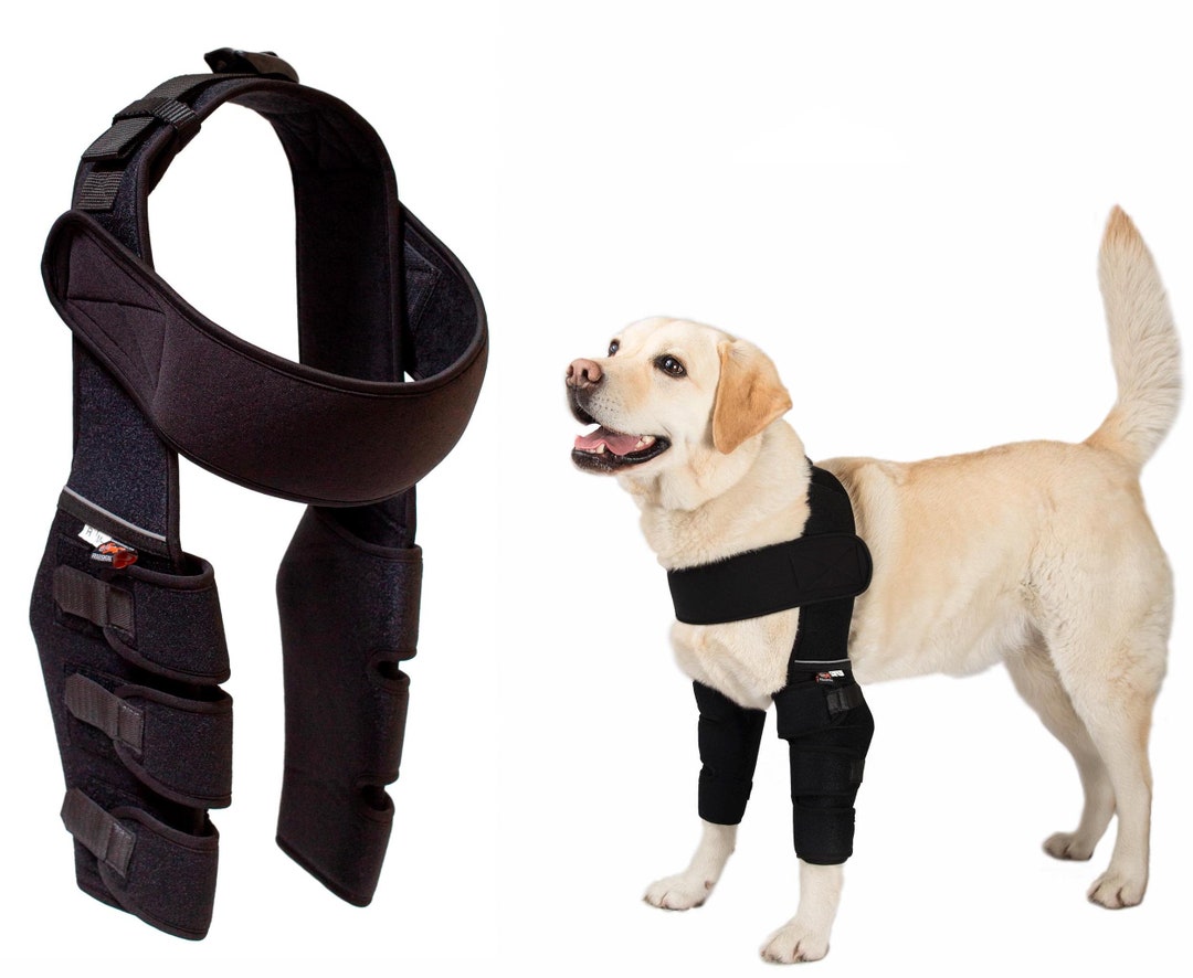 Dog Elbow Joint Support: Wrap Brace - Prevent Hyperextension ...