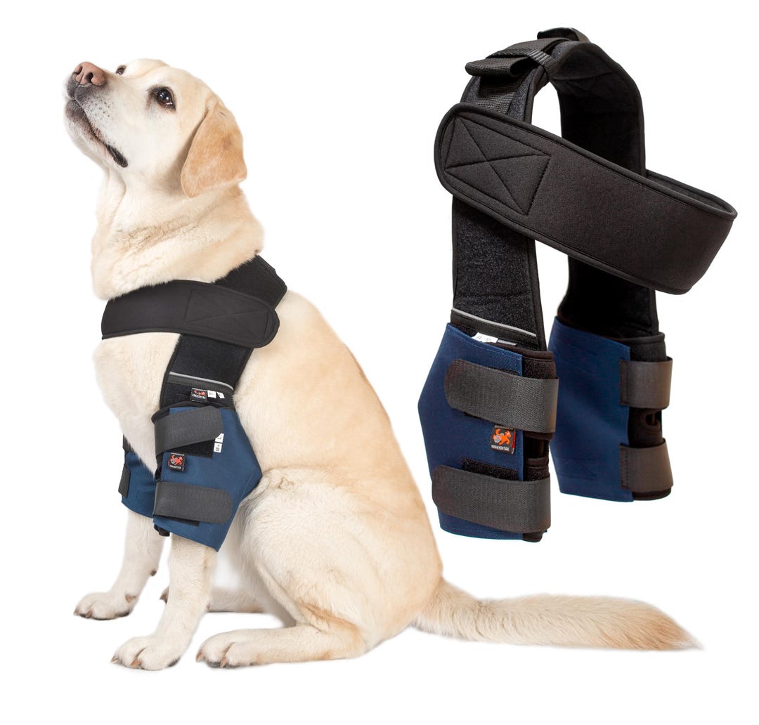 Dog Elbow Protector: Sleeve Wraps With Soft Pads | Care and Prevention ...