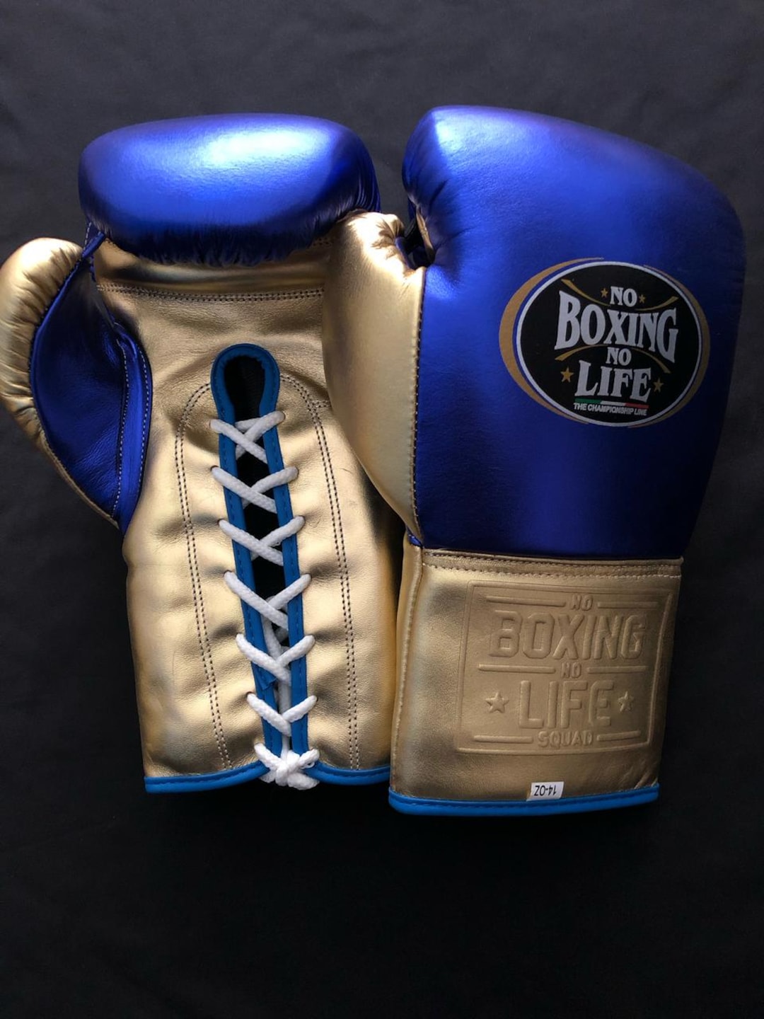 No Boxing No Life Boxing Gloves, Professional-grade punching gloves - Etsy