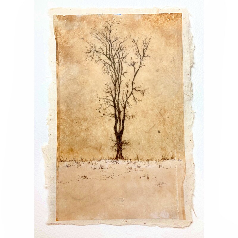 Sepia Tree - Etsy