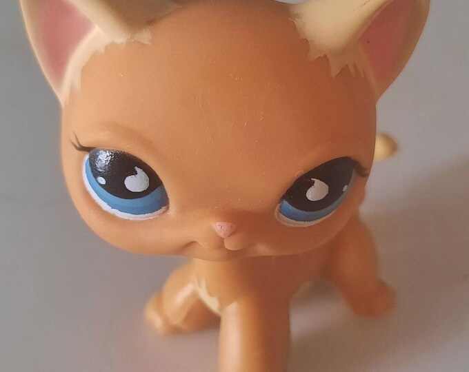 Authentic Littlest Pet Shop Shorthair Cat #525 #790 Figure Hasbro LPS ...