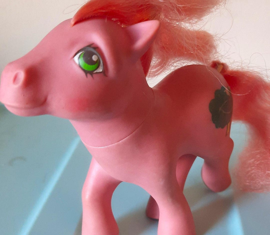 Vintage G1 My Little Pony Windy Magic Message TLC Hasbro MLP - Etsy