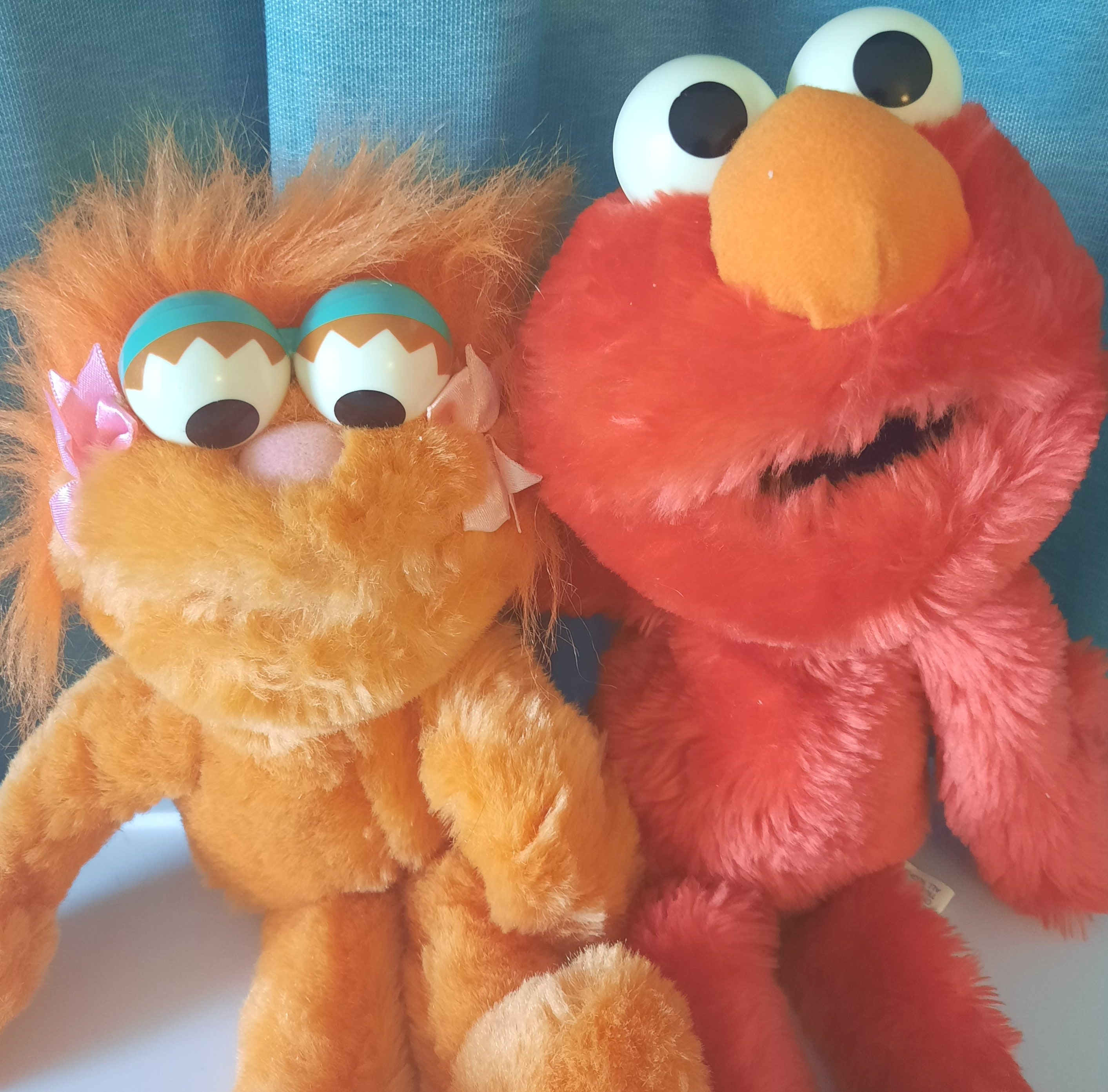 Sesame Street Zoe And Elmo