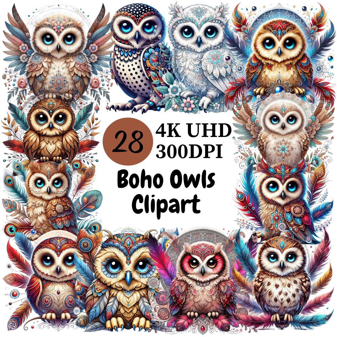 Boho Owls Clipart - 28 PNG, Whimsical and Stylish Owls With Feathers ...