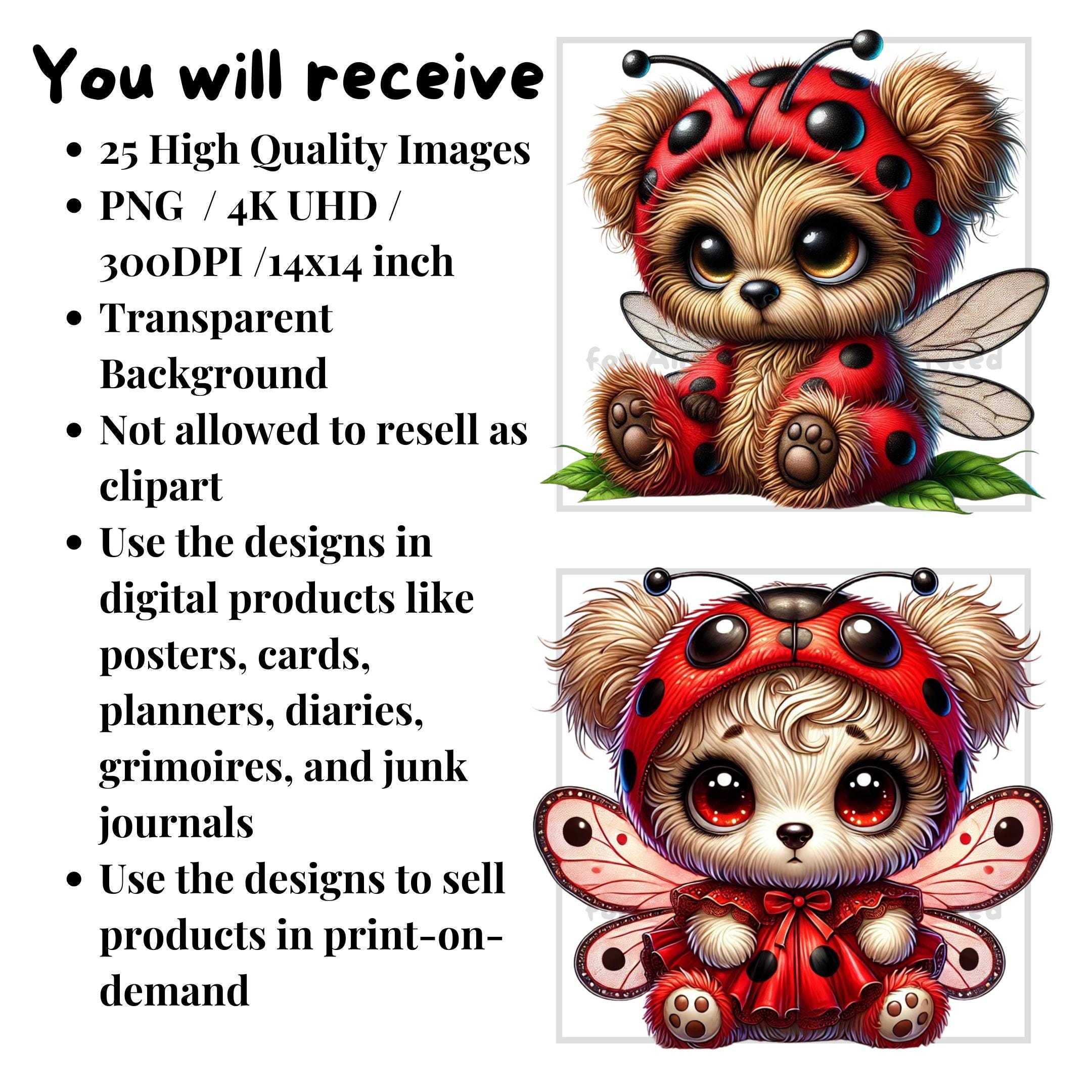 Ladybug Teddy Bear Clipart - 26 PNG, Adorable Teddy Bears Dressed as ...