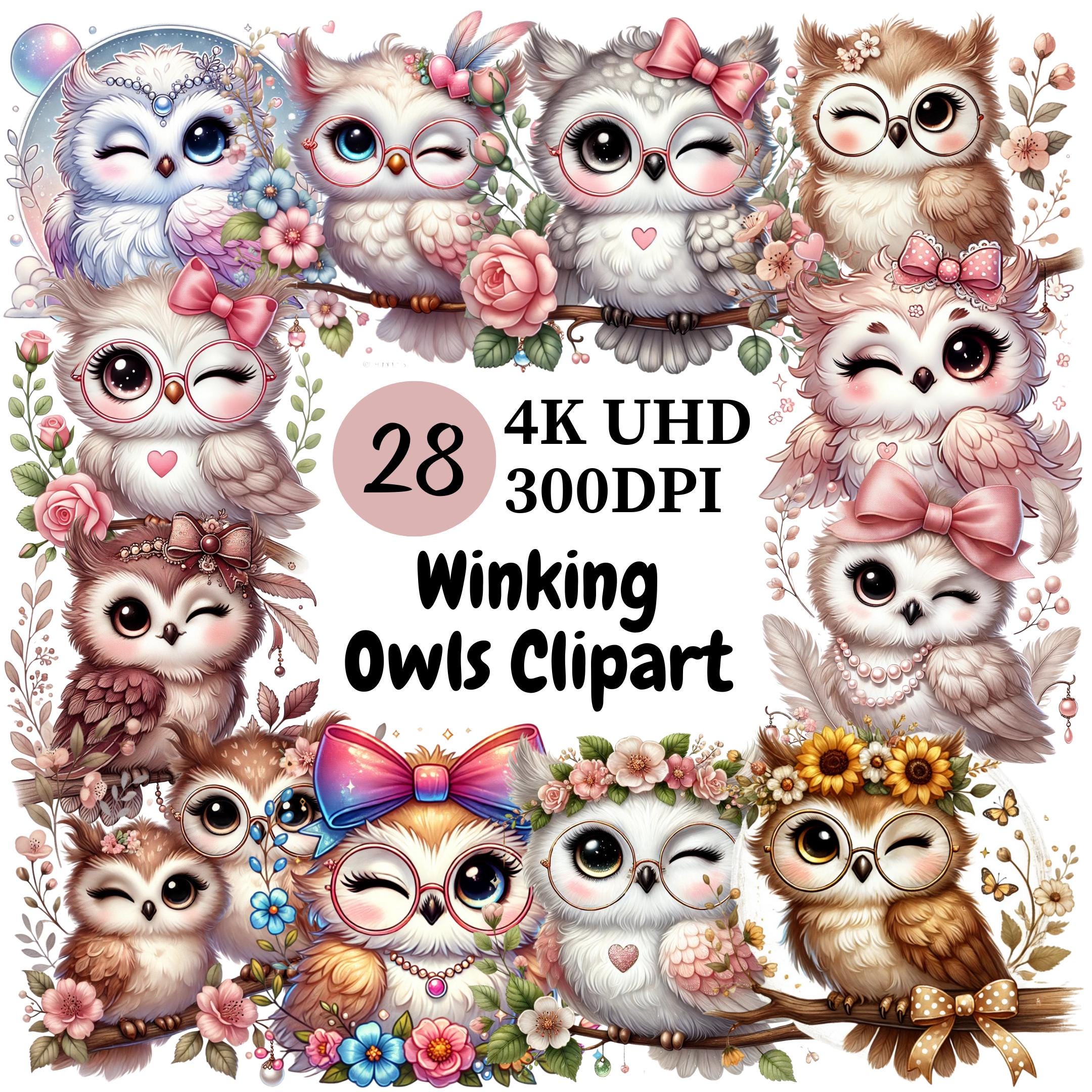 Winking Owls Clipart: 28 Playful PNG Images (digital Download) - Etsy