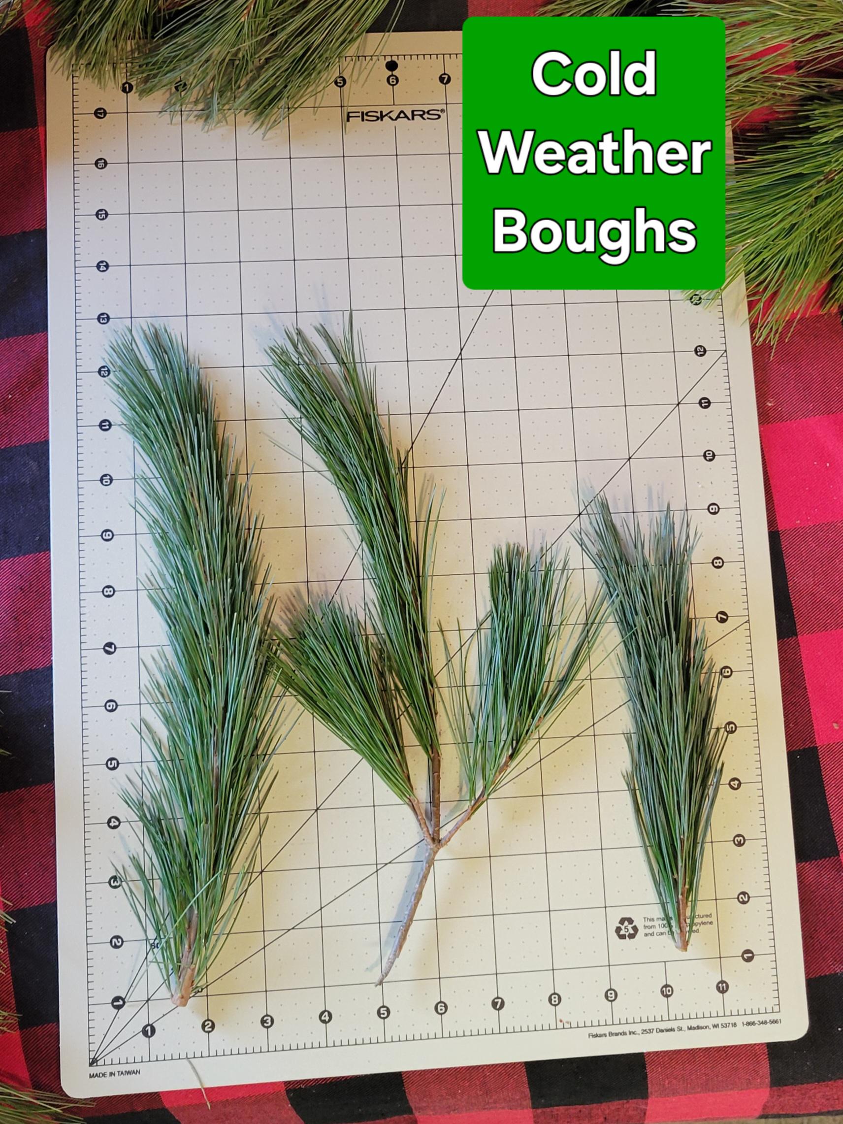 Fresh Cut White Pine. Chemical/dye Free. 2, 5, 10, 20 Lbs. 8"-24 ...